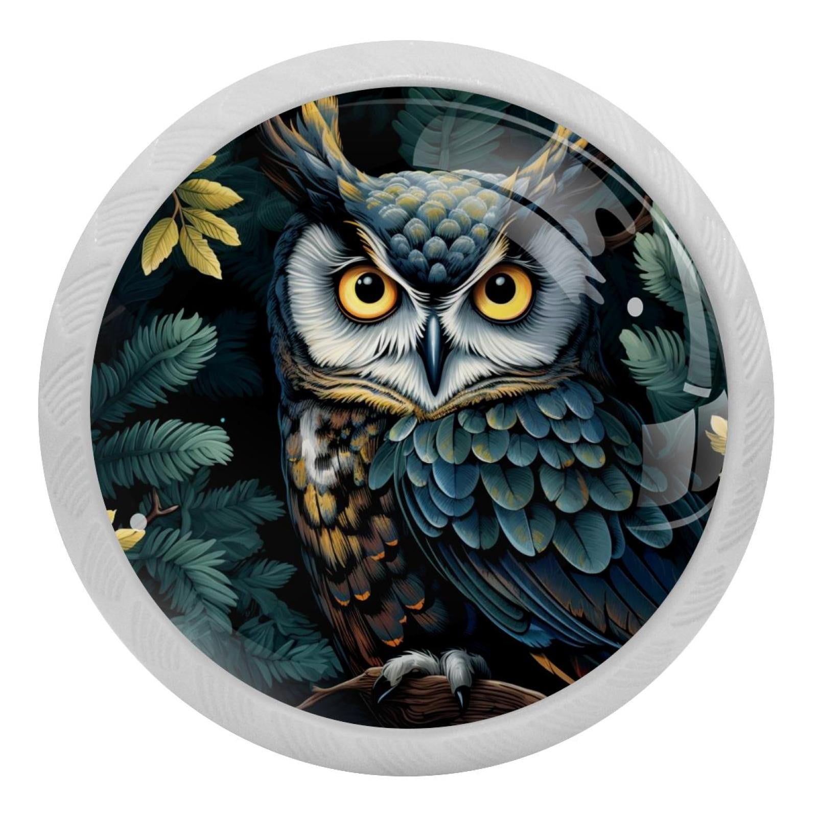 Owl Fluorescent Drawer Pulls with Screws - Round 4-Pack, Glow-in-the ...