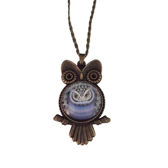 Owl Glass Dome Necklace With Metal Owl Border Fashion Gift Jewelry ...