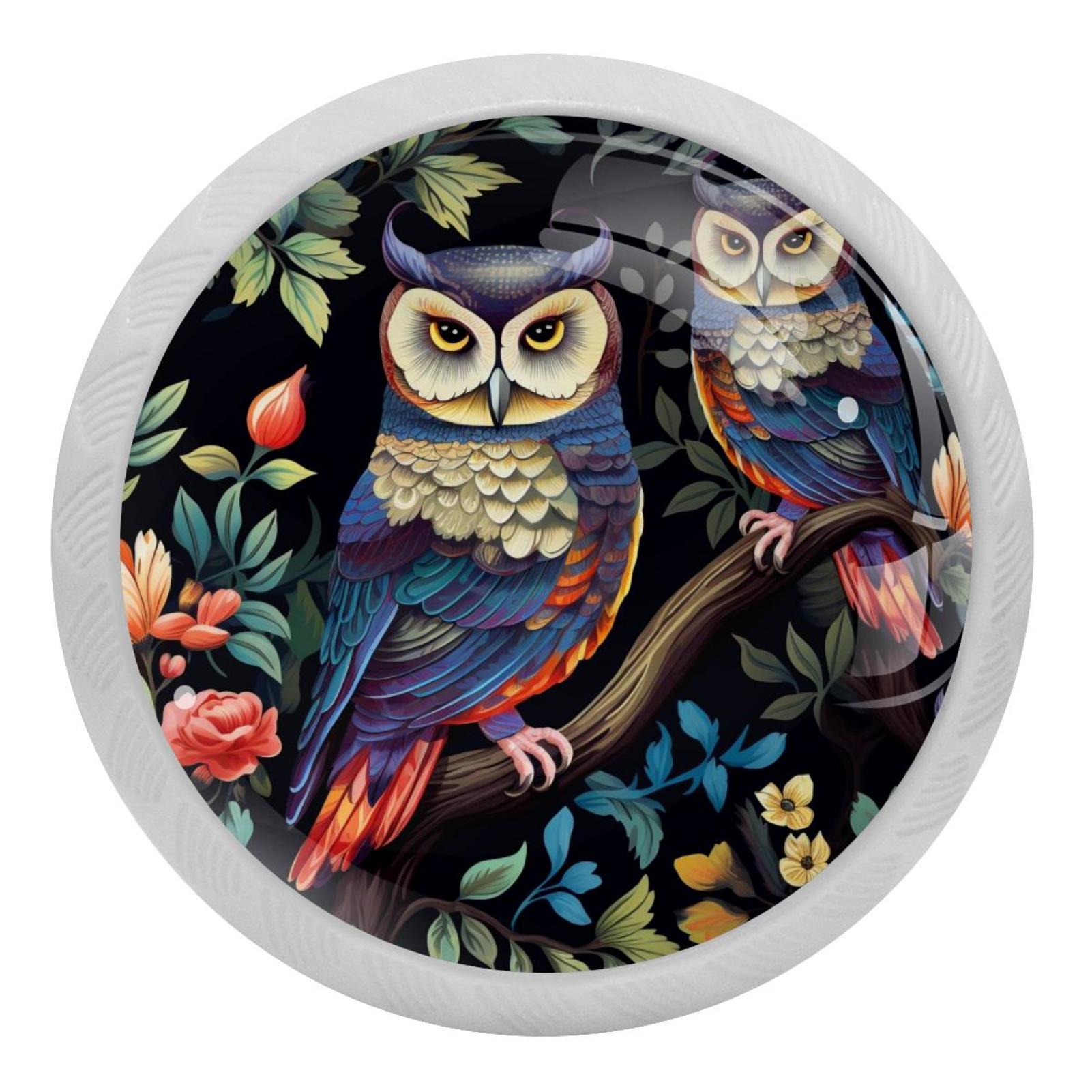 Owl Glow-in-the-Dark Round Cabinet Knobs - Fluorescent Drawer Pulls 4 ...