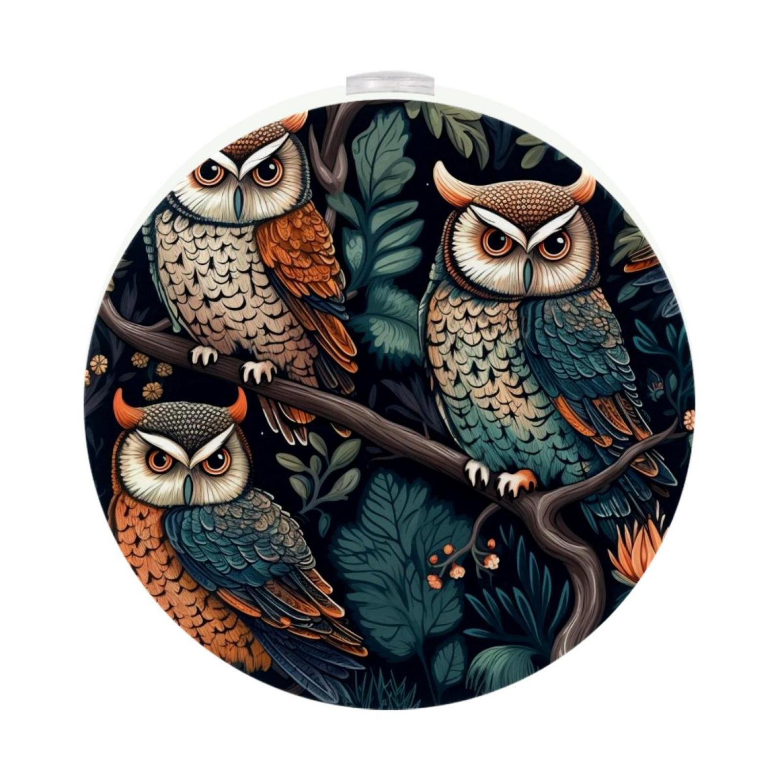 Owl LED Round Night Light - 2 Pack, Plug-in Motion Sensor Wall Lamp for ...