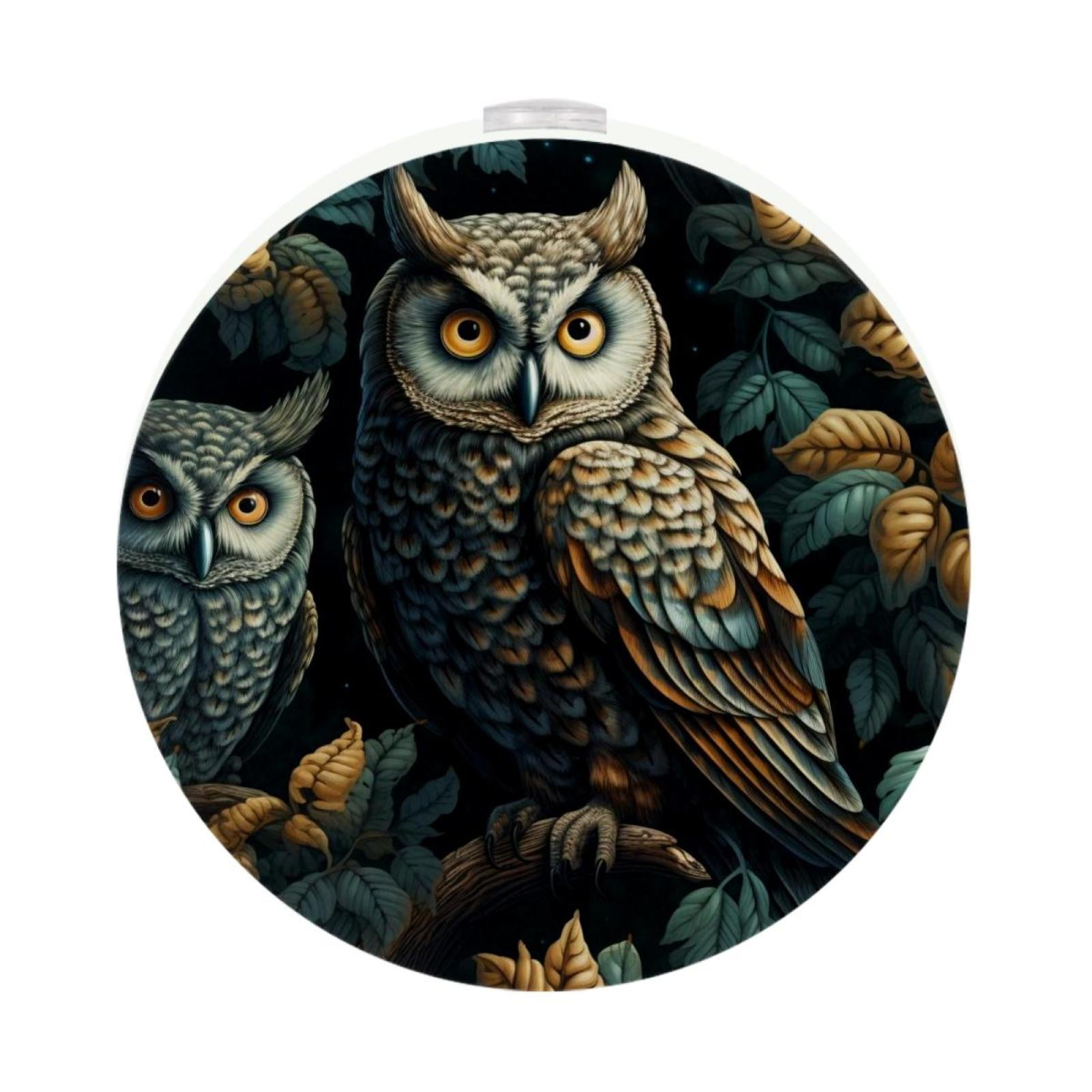 Owl LED Round Night Light-2PCS, Dimmable Plug-in Circle Wall Lamp with ...
