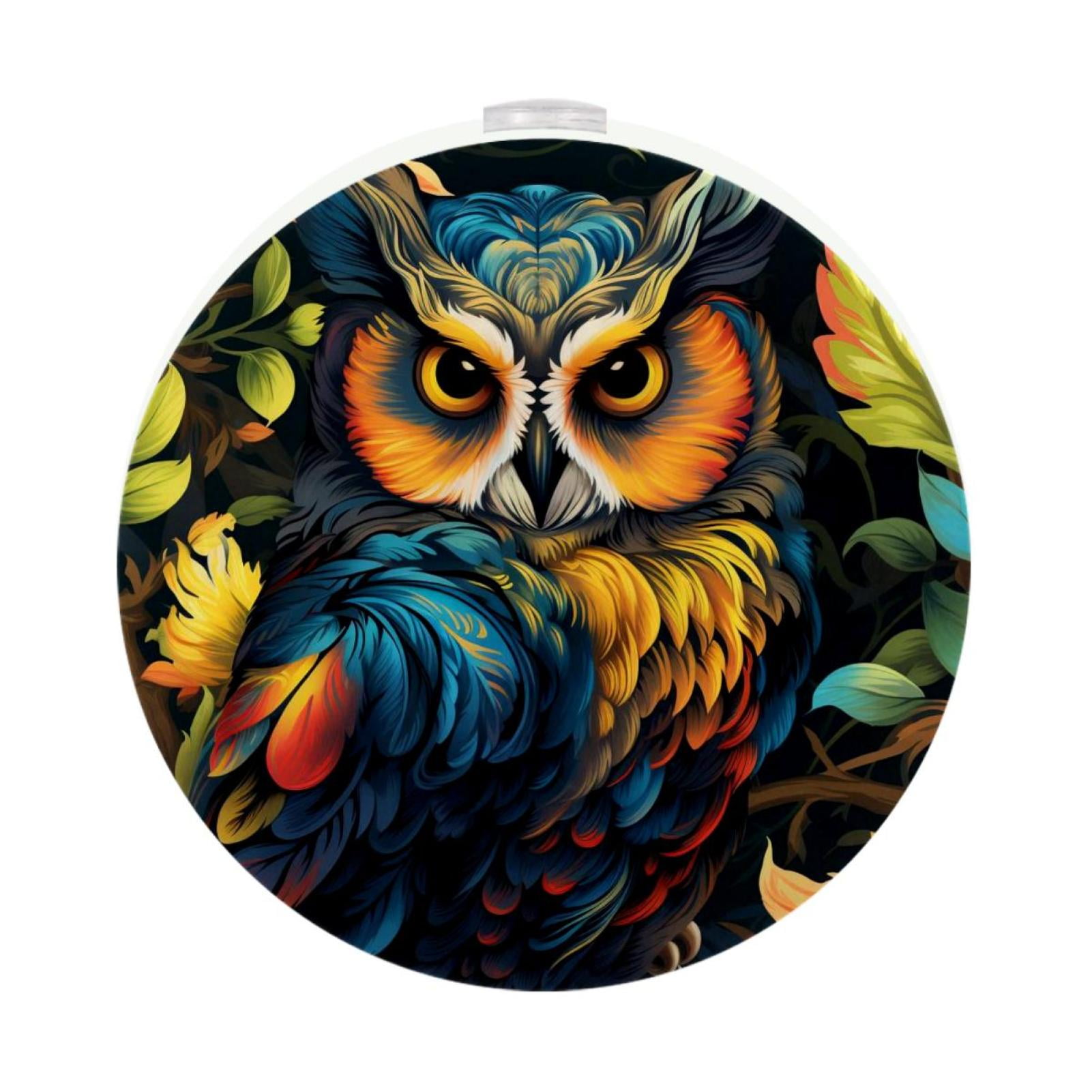 Owl LED Round Night Light-2PCS, Plug-in Auto Dusk to Dawn Sensor ...