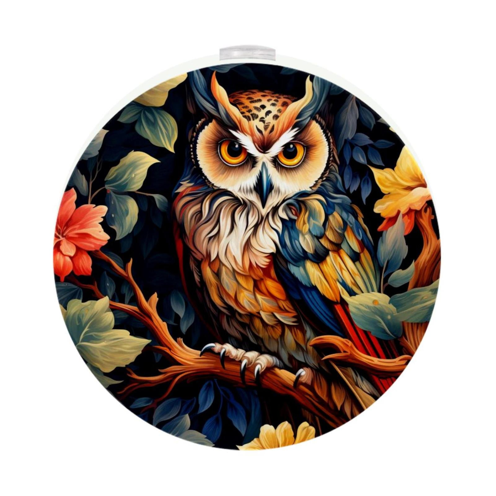 Owl LED Round Night Light-2PCS, Plug-in Dusk-to-Dawn Auto Sensor Wall ...