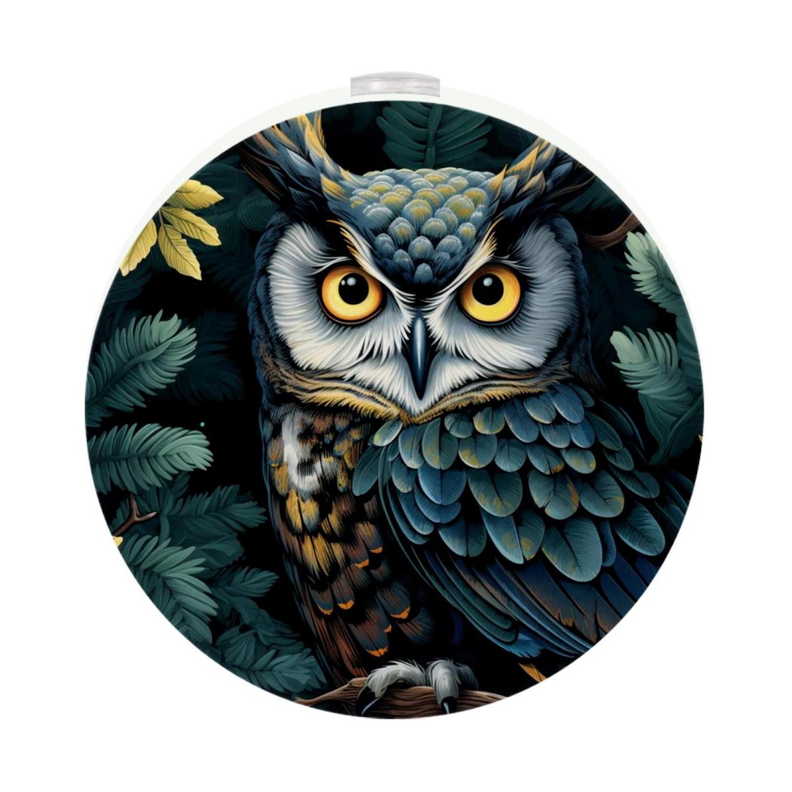 Owl LED Round Night Light-2PCS - Plug-in Smart Sensor Nightlights with ...