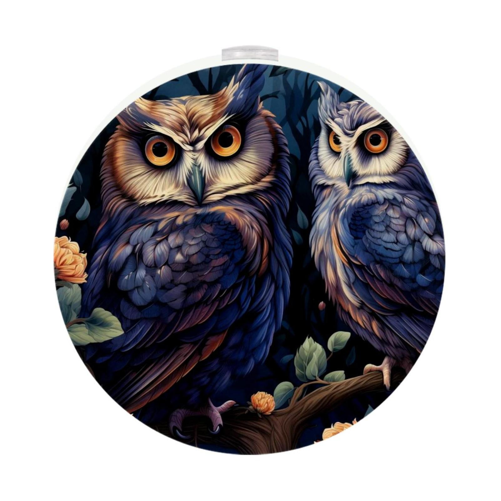 Owl LED Round Night Light-2pcs, Dimmable Plug-in Nightlight with Dusk ...
