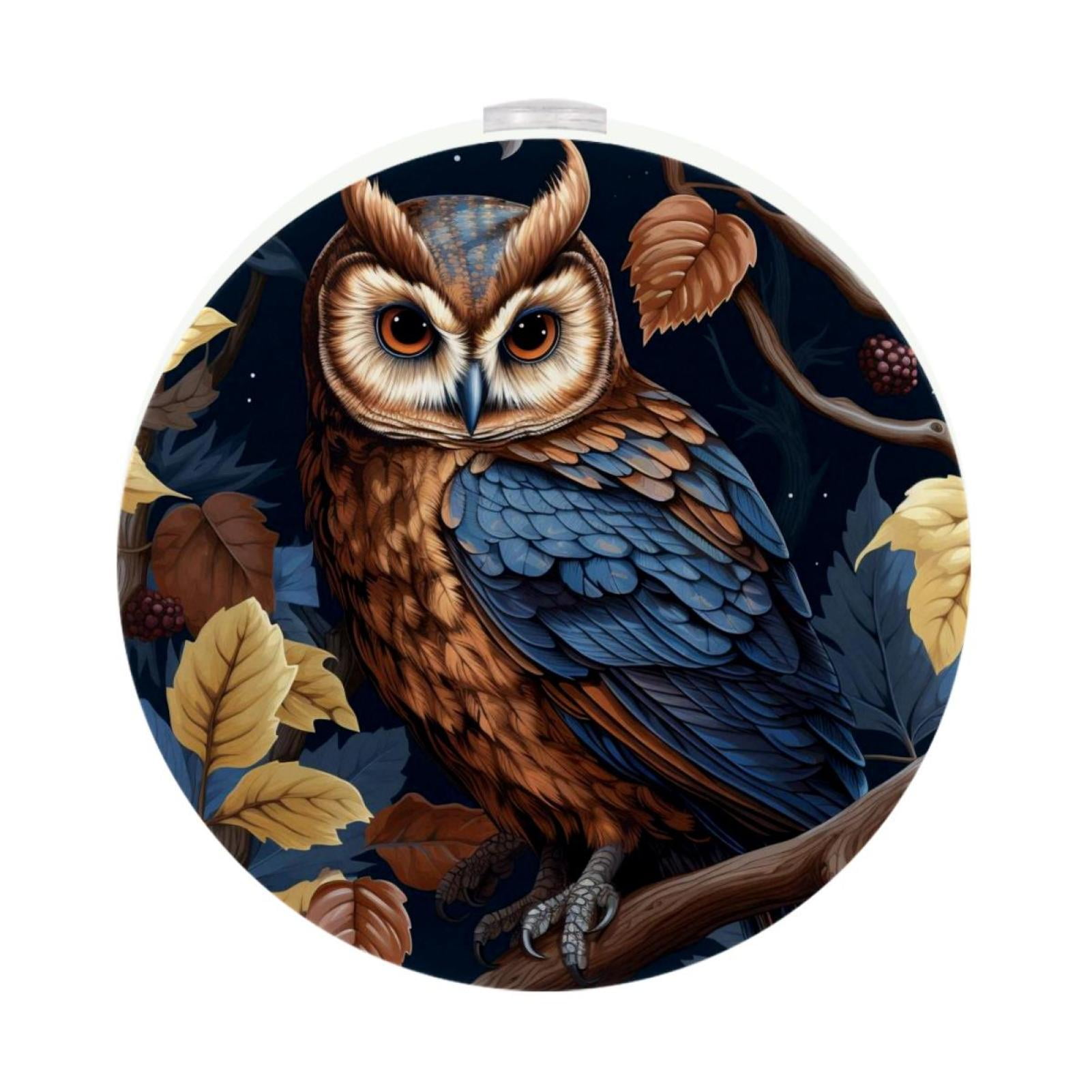 Owl Led Round Night Light-2pcs Set, Battery Powered Mini Portable Soft ...