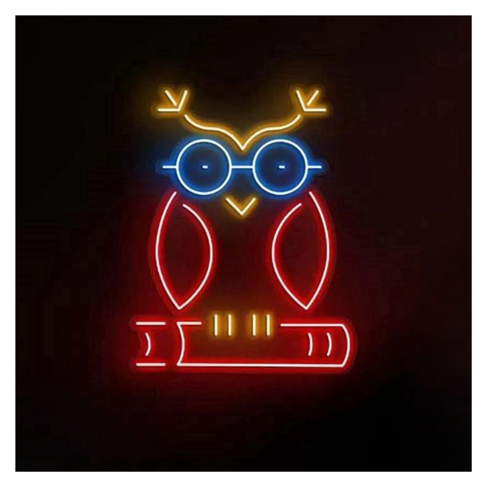 Owl Neon Sign USB Powered, Adjustable Brightness Owl Neon Lights ...