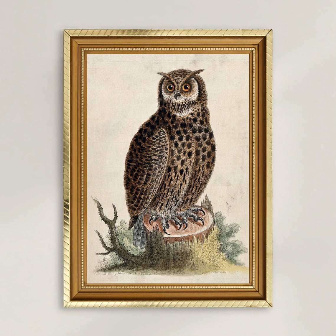 Owl On The Stump of A Tree Vintage Bird Antique Animal Light Academia ...