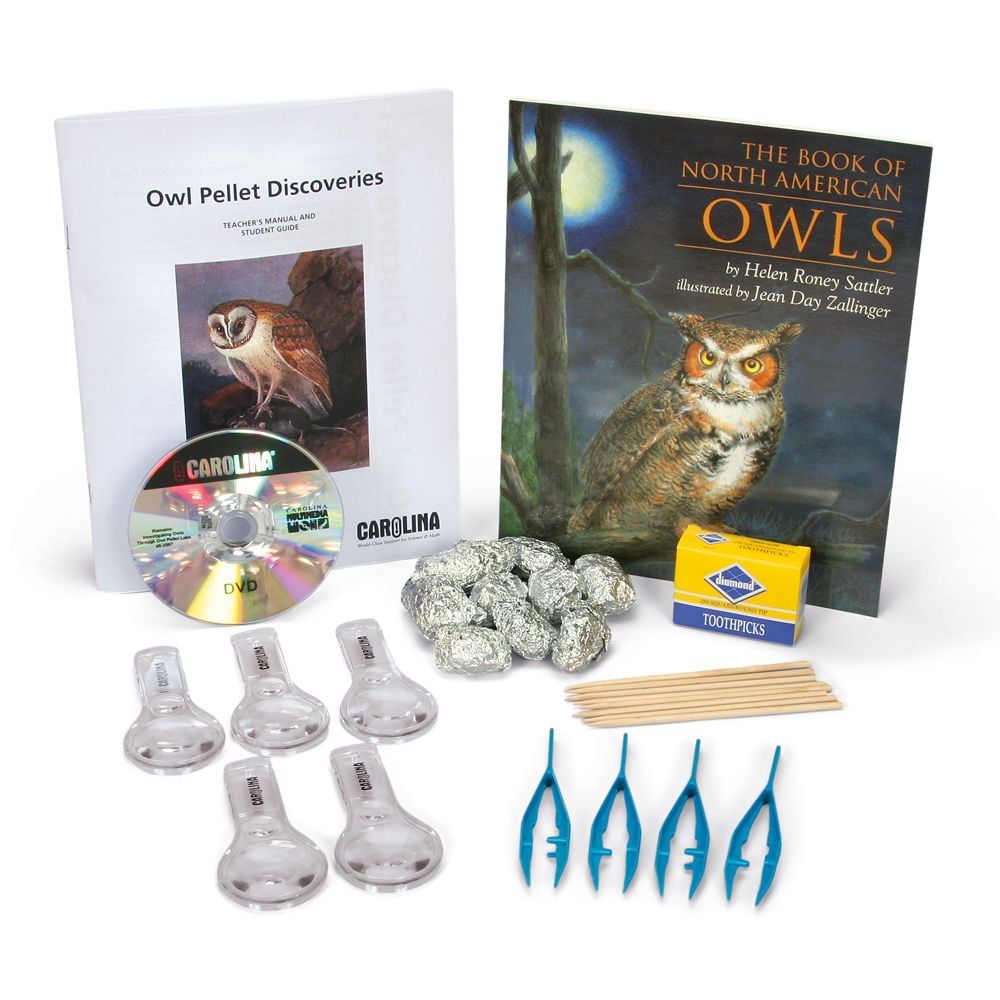 Owl Pellet Classroom Discoveries Kit, Teach Owl Habitat & Behavior ...