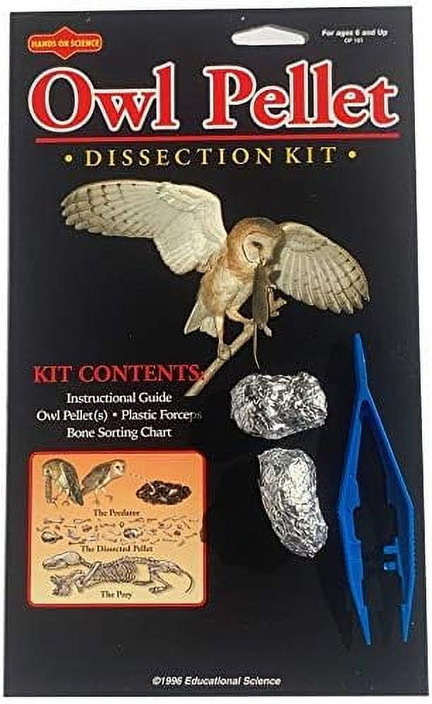 Owl Pellet Kit, 2 Pellet, Sorting Chart - Walmart.com Owl Pellet Kit, 2 Pellet, Sorting Chart - Walmart.com