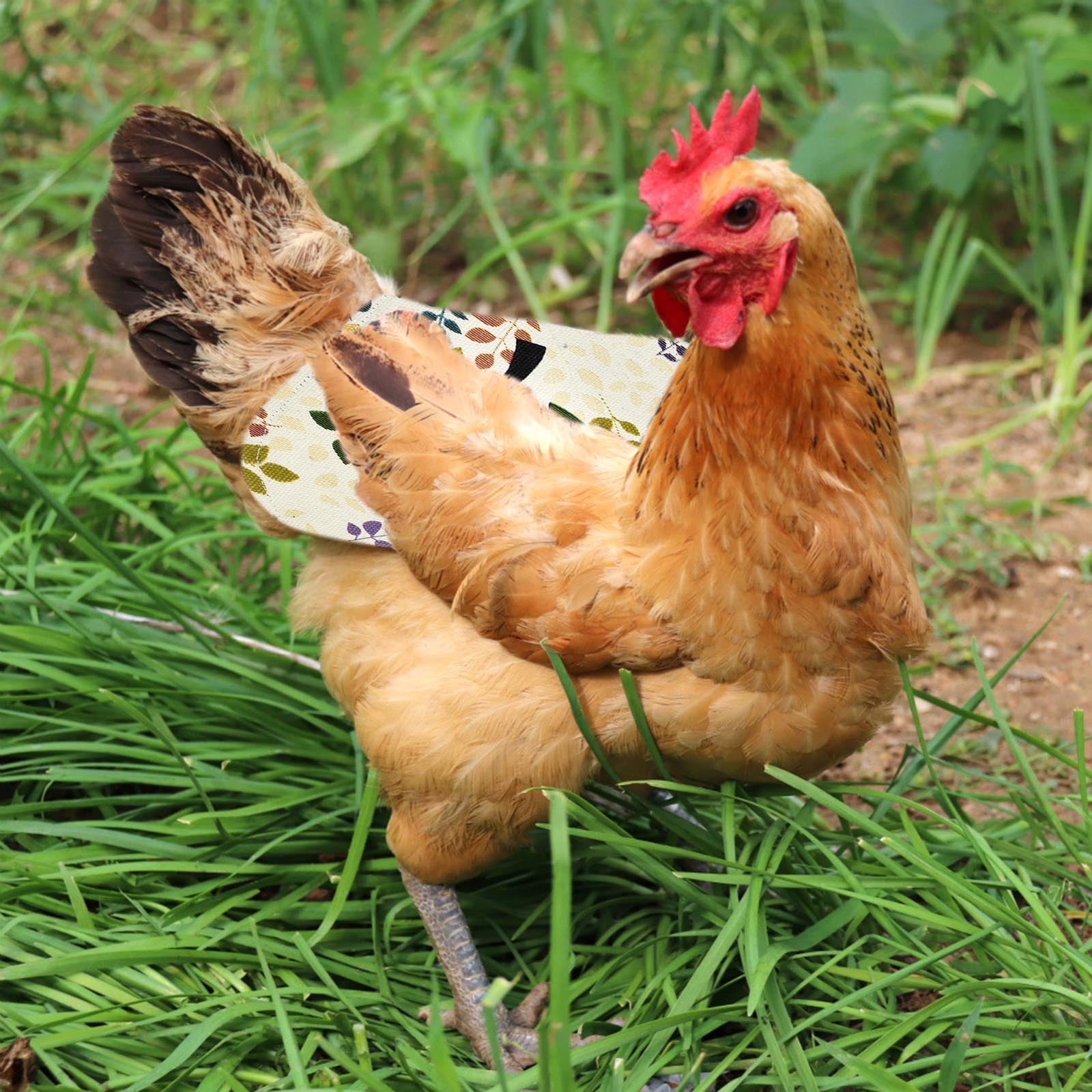 Owl Print Hen Jacket Chicken Saddle Apron, Double Layer Soft Cloth ...