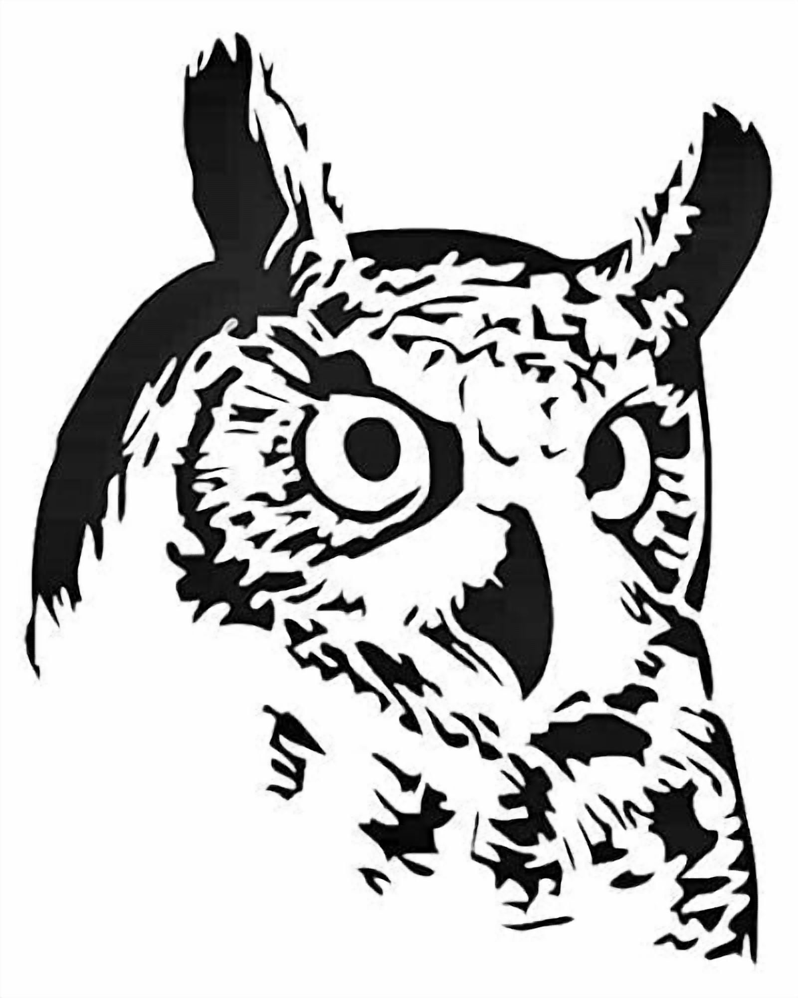 Owl Reusable Sturdy Stencil Clear Custom Cut Plastic Sheet Template ...