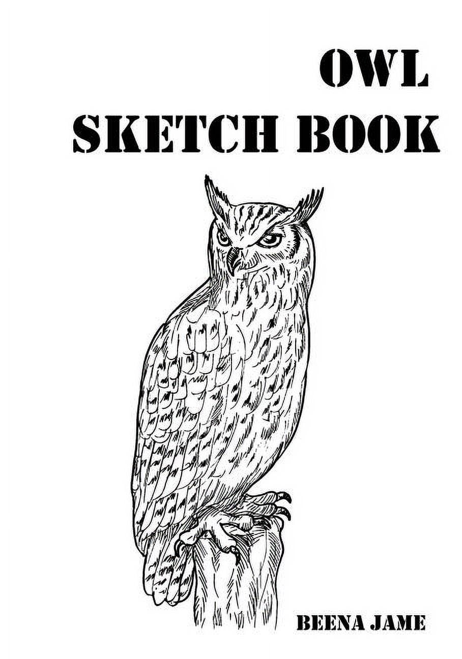Owl Sketch Book : Sketching and Drawing From a Life (Paperback ...