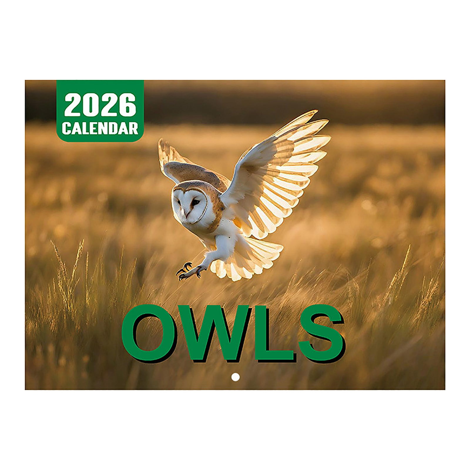 Owl Themed Perpetual Calendar – Reusable Wooden Flip Calendar Desk ...