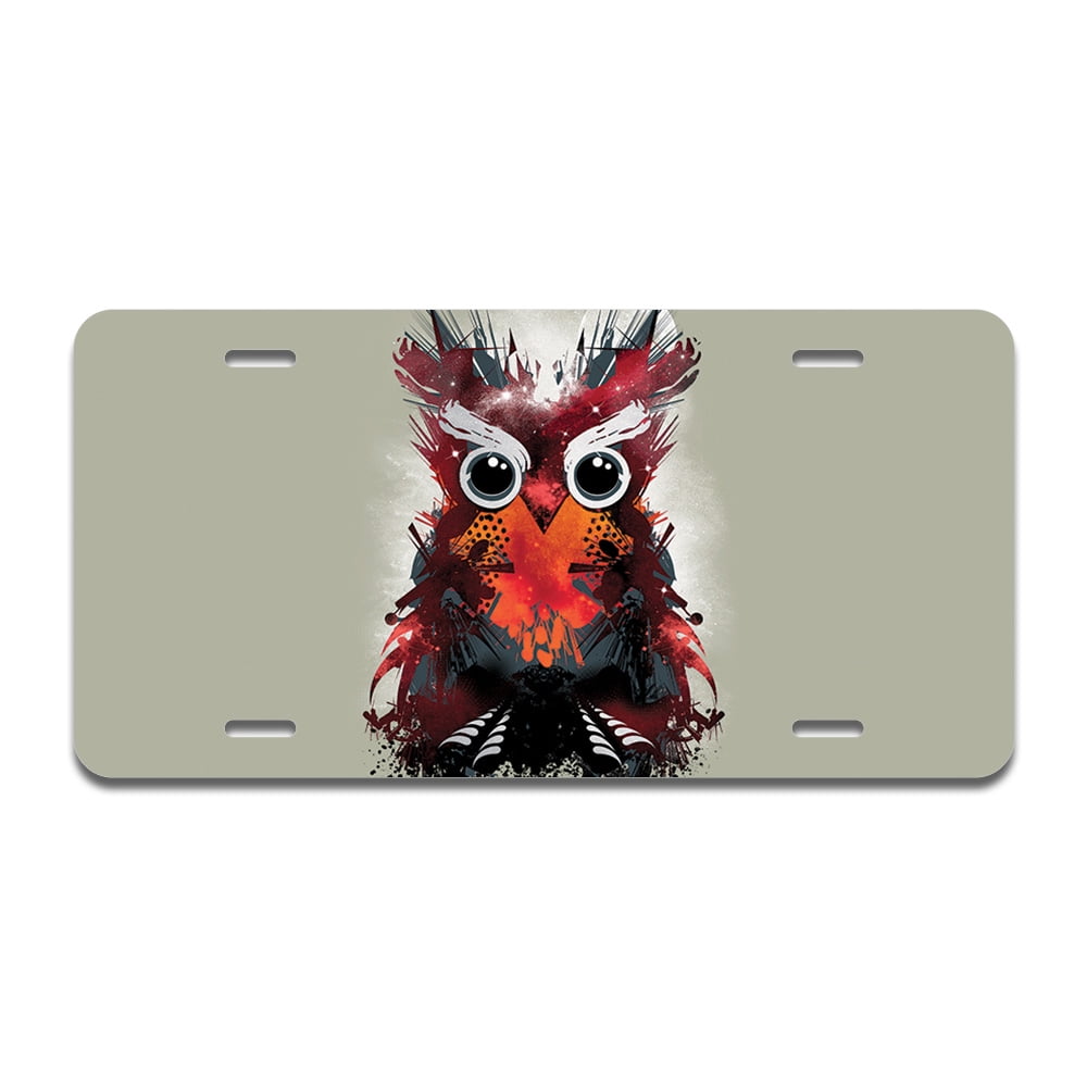 Owl Universe Aluminum License Plate| License Plate 12" X 6" Fits Any ...