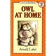 Owl at Home (Paperback) - Walmart.com