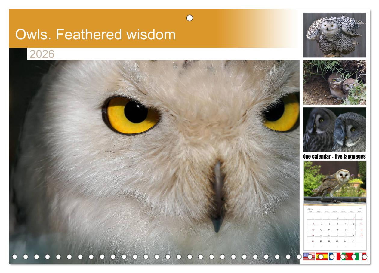 Owls. Feathered wisdom (Monthly Wall Calendar 2026 11.7 x 16.5 (open ...