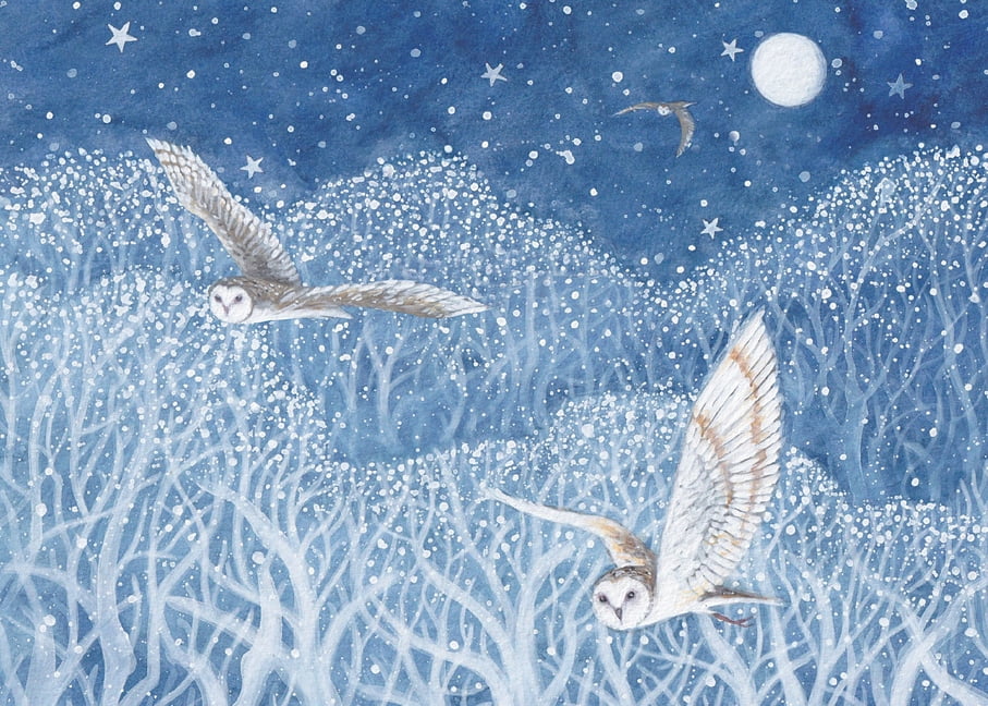 Owls in Flight Deluxe Boxed Holiday Cards (20 Cards, 21 Self-Sealing ...