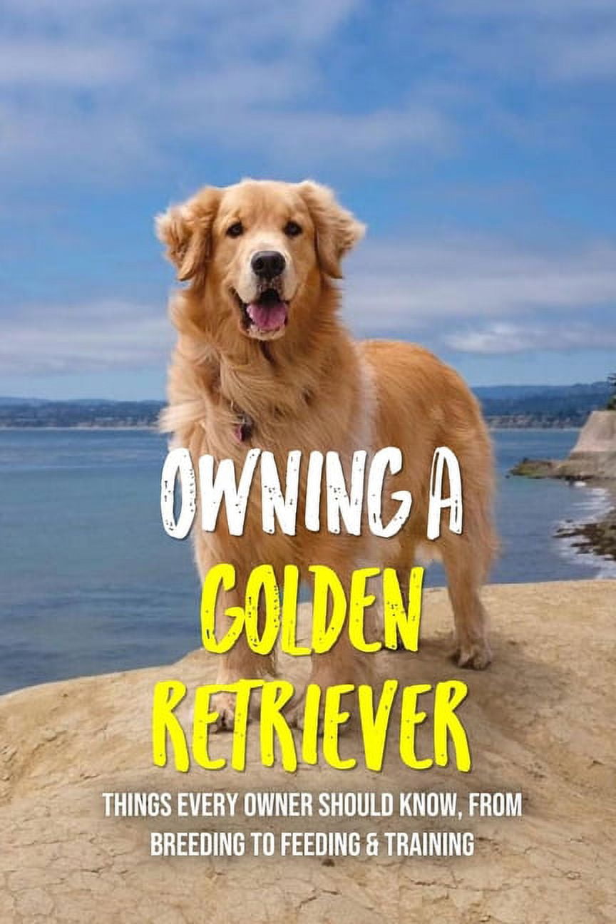 Owning A Golden Retriever Things Every Owner Should Know From