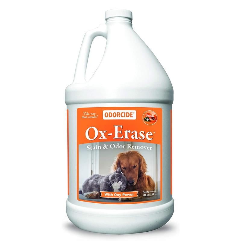 Ox erase Pet Urine Carpet Cleaner Stain Remover Concentrate – Pet Stain ...