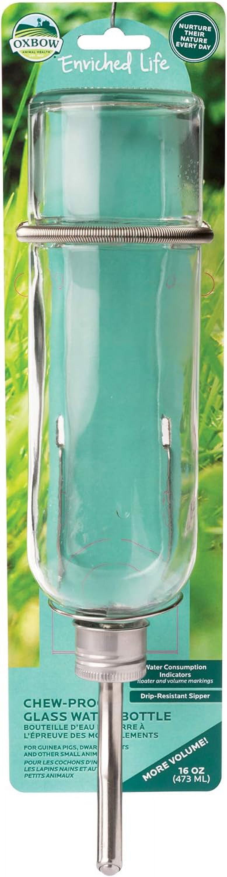 Oxbow Chew Proof Glass Water Bottle with Holder for Small Animals ...