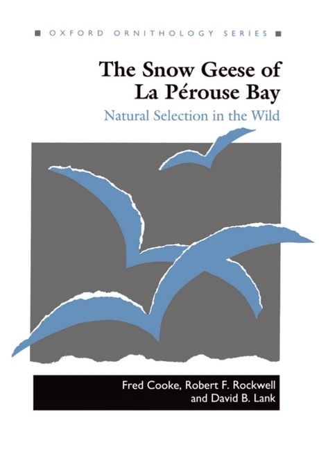 Oxford Ornithology The Snow Geese of La Perouse Bay: Natural Selection ...