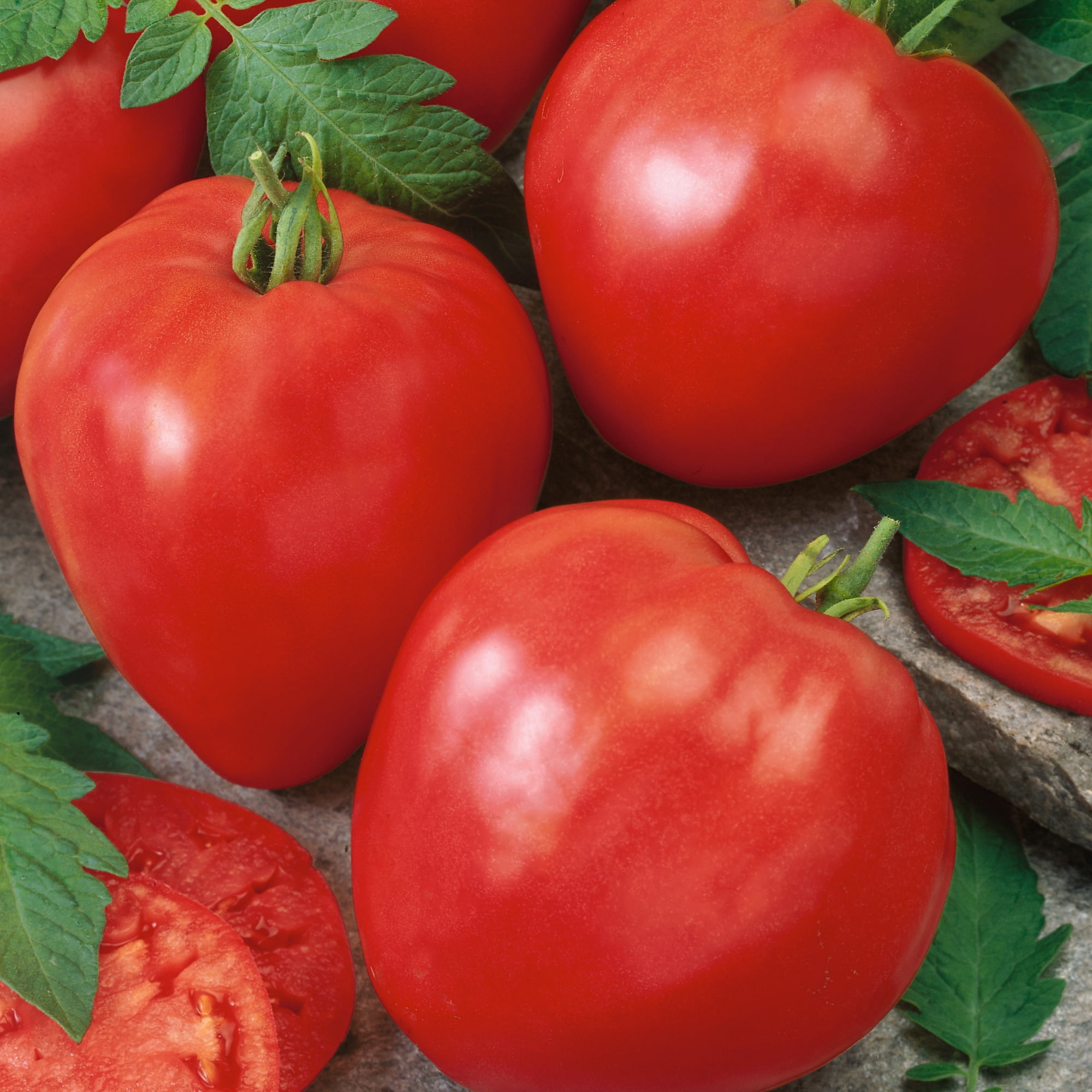 Oxheart Red Tomato 0.25 Oz ~1,700 Seeds – Heirloom, Indeterminate, Open ...