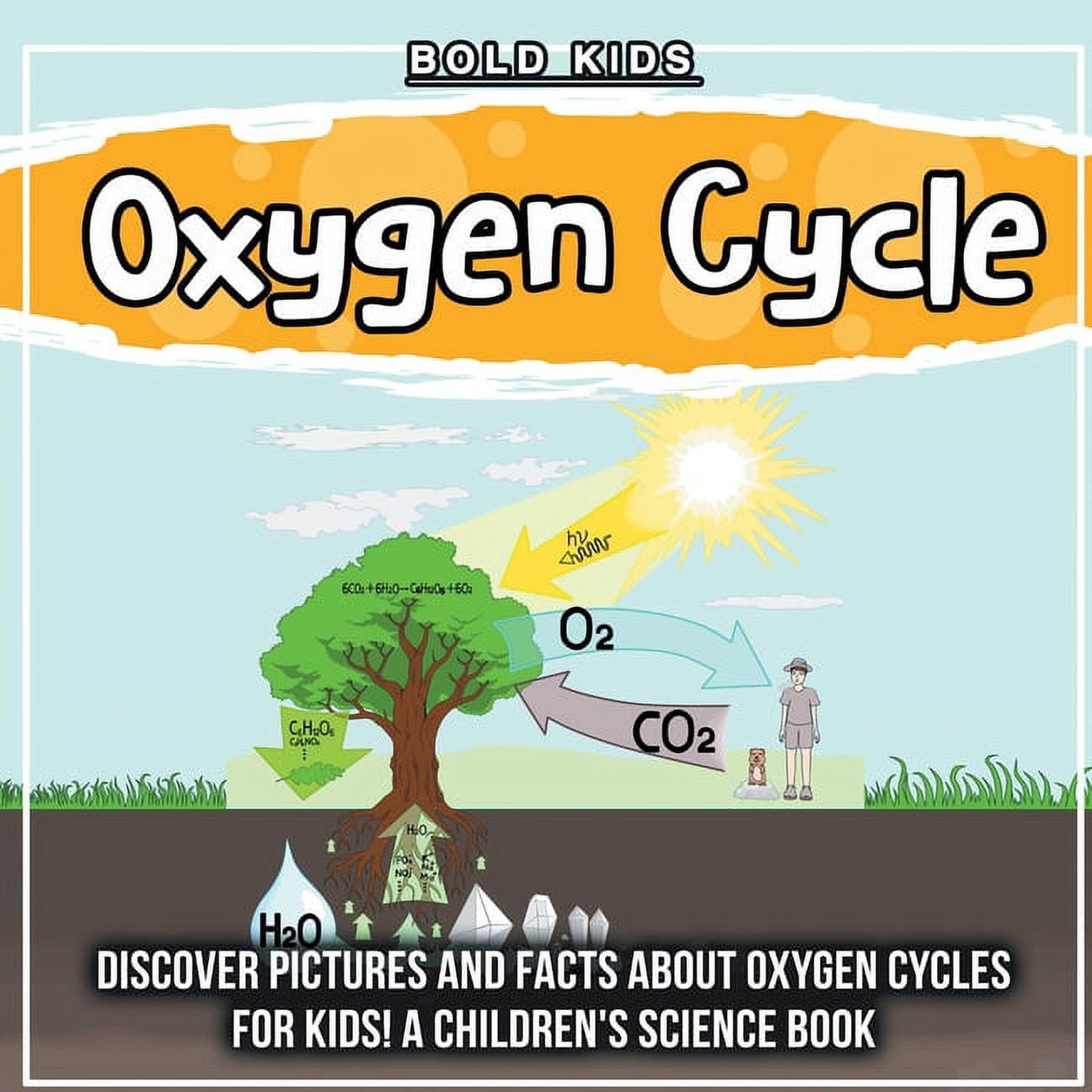 Oxygen Cycle: Discover Pictures and Facts About Oxygen Cycles For Kids ...
