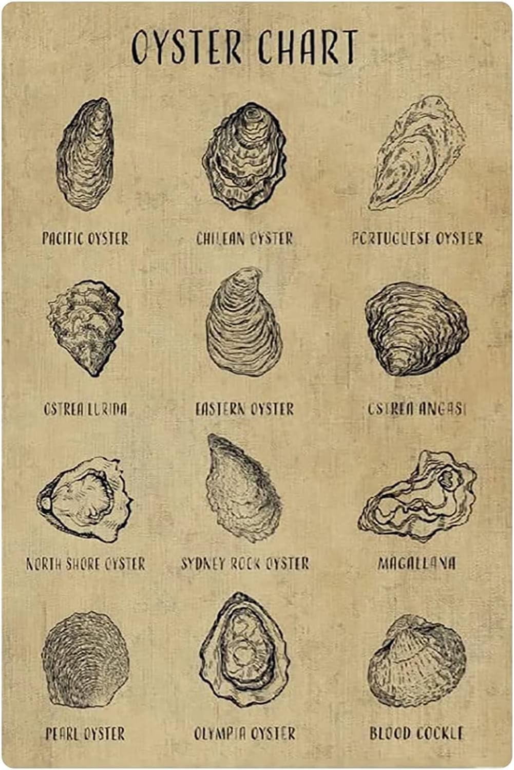 Oyster Chart Metal Signs Types Of Oyster Aluminium Poster Seafood ...