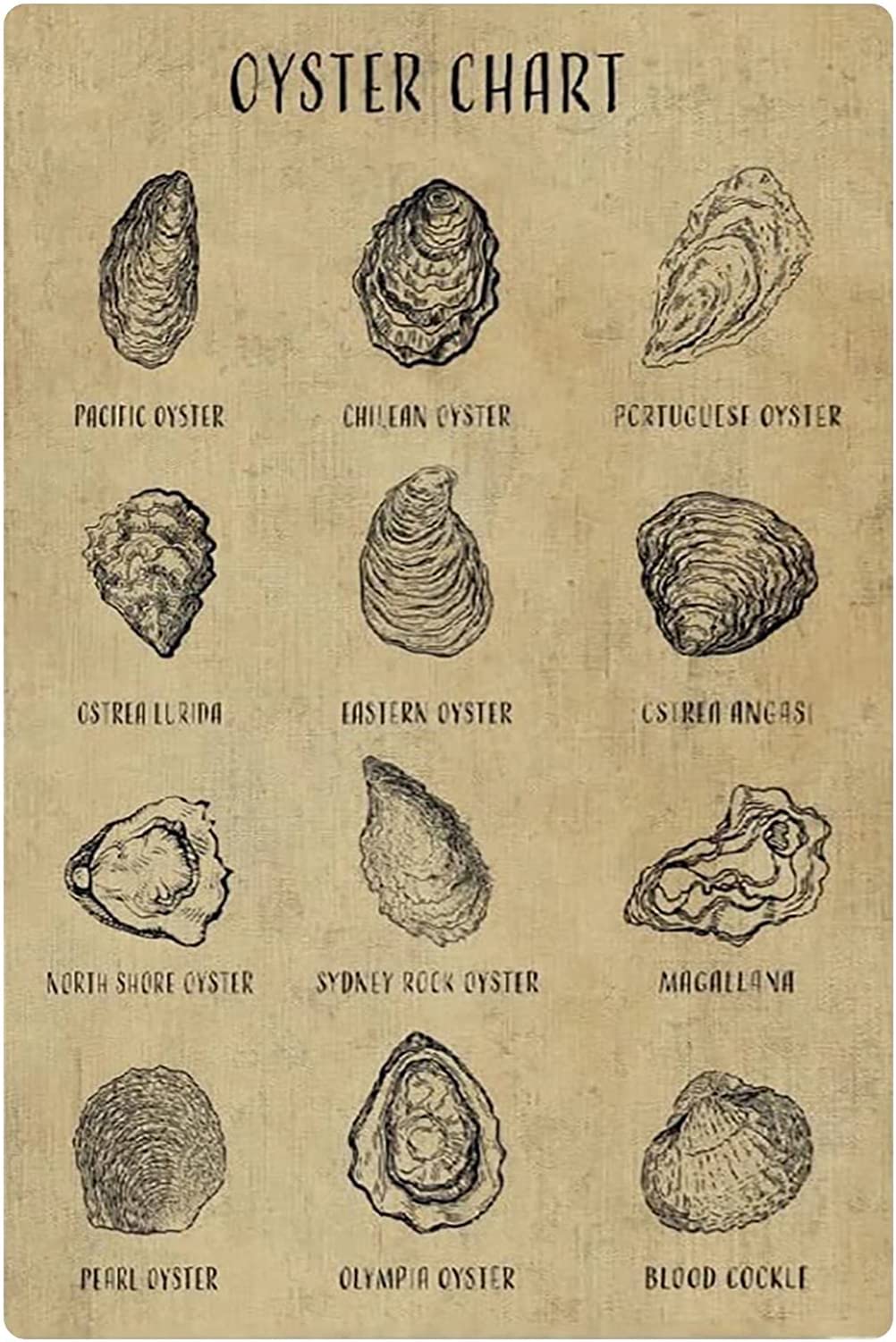 Oyster Chart Metal Signs Types Of Oyster Poster Seafood Restaurant Wall ...