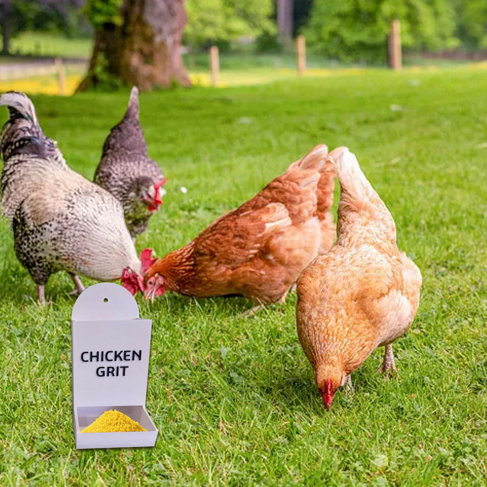 Oyster Shell & Grit Feeder for Chickens, Hanging Gravity Poultry Feeder ...