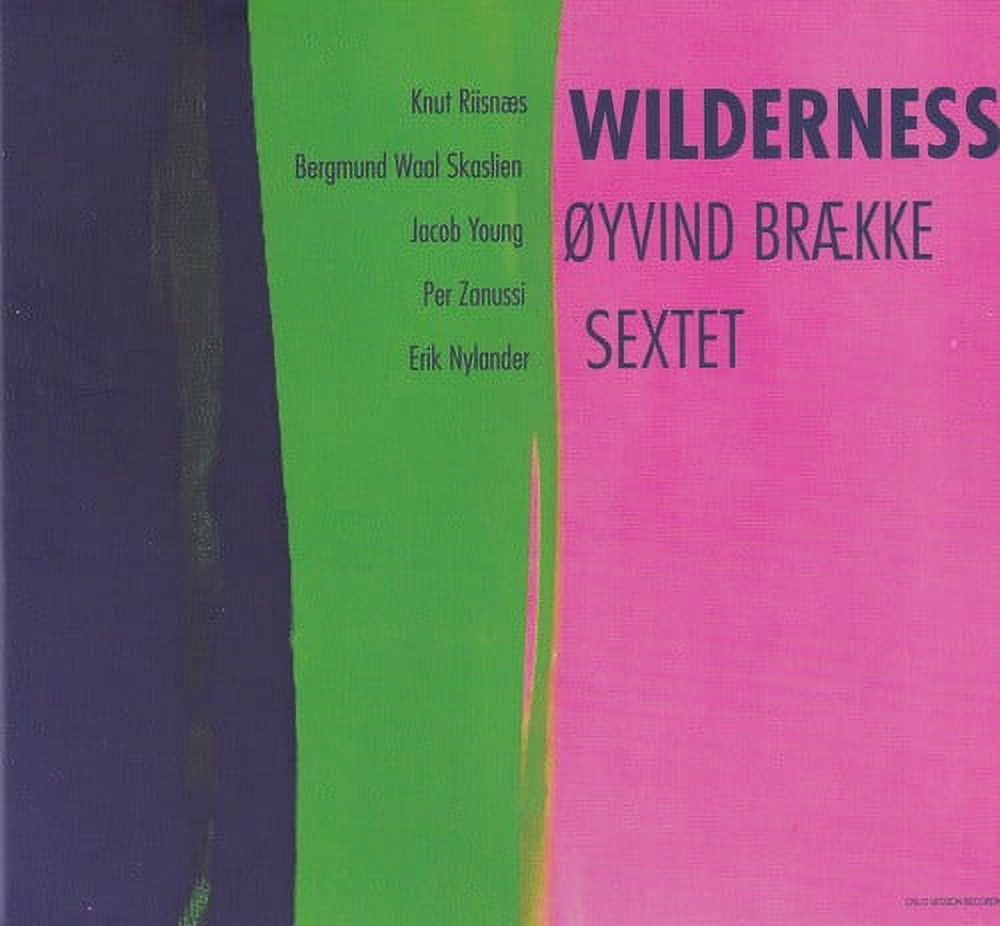 Oyvind Braekke - Wilderness - Music & Performance - CD - Walmart.com