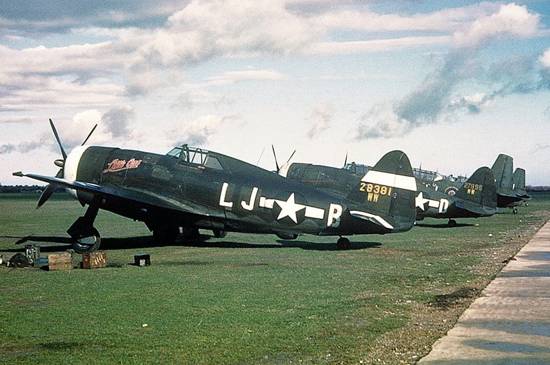 P-47 Thunderbolts of the 359th Fighter Group WWII - 12x18 Inch ...