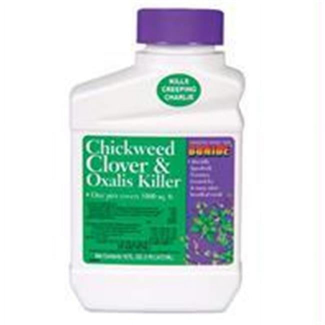 P-Chickweed Clover Oxalis Killer Concentrate 1 Pint - Lawn & Garden ...