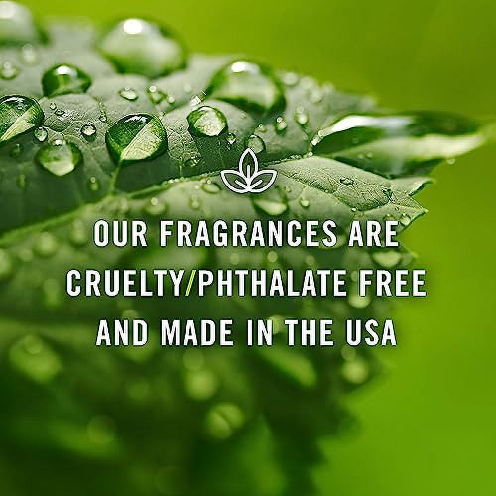 P&J Trading - Moss Scented Oil 100ml - Fragrance Oil for Candle Making ...
