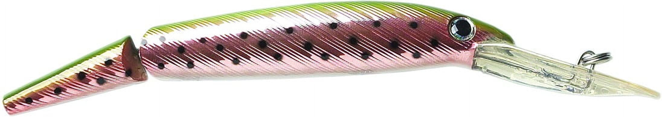 P-Line Predator Minnow Universal Hard Fishing Bait, Rainbow Trout, 5 1/ ...