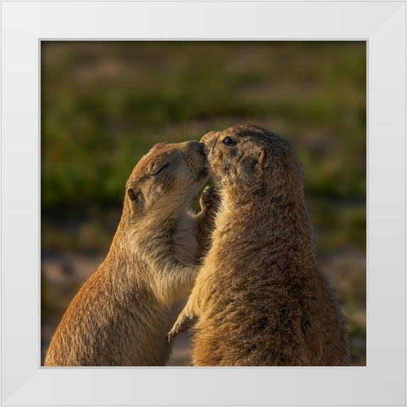 P., Ruiqing 12x12 White Modern Wood Framed Museum Art Print Titled ...