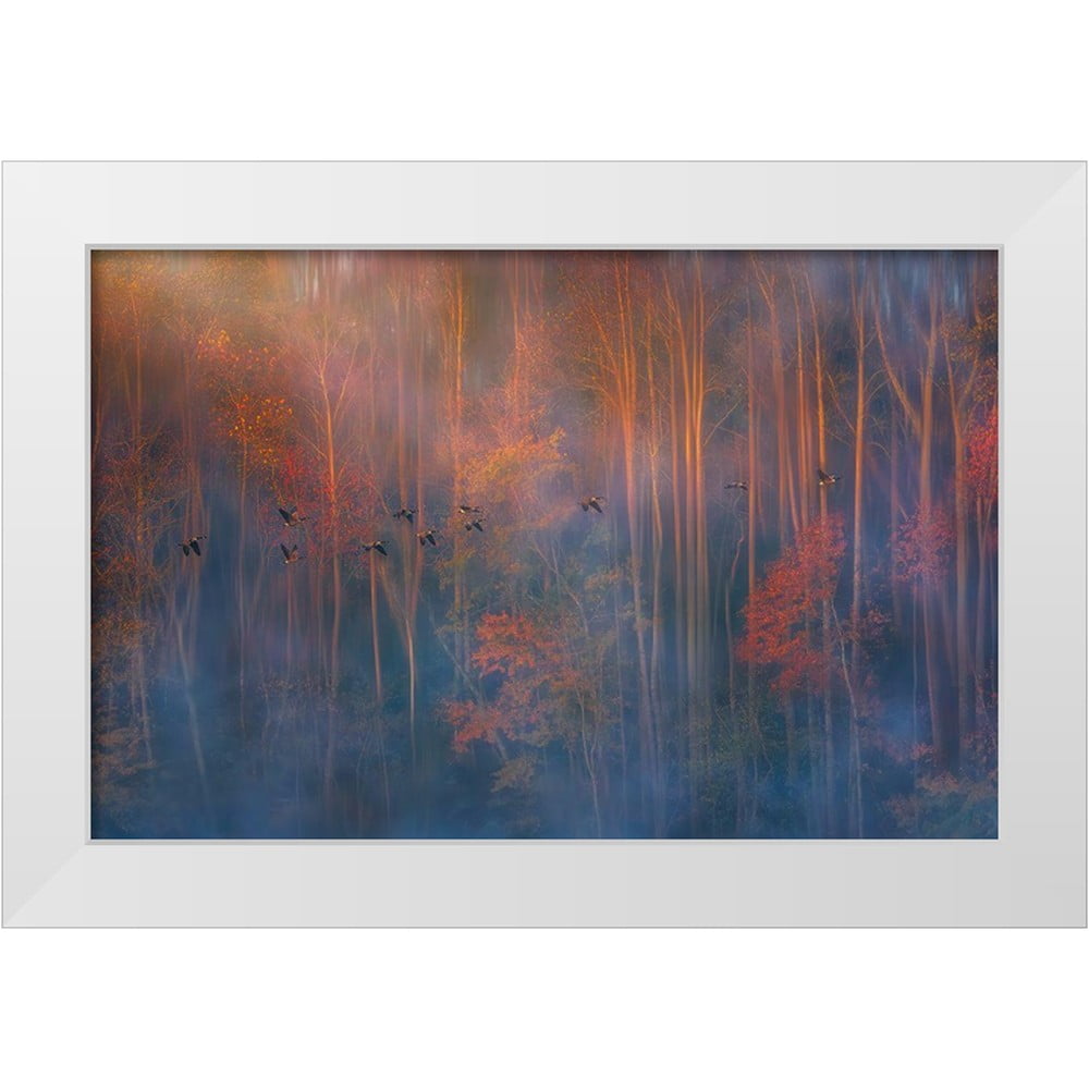 P., Ruiqing 14x11 White Modern Wood Framed Museum Art Print Titled ...