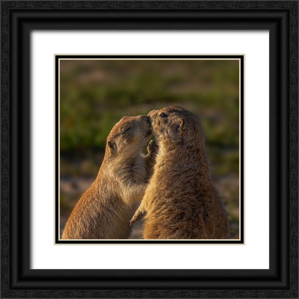 P., Ruiqing 20x20 Black Ornate Wood Framed with Double Matting Museum ...