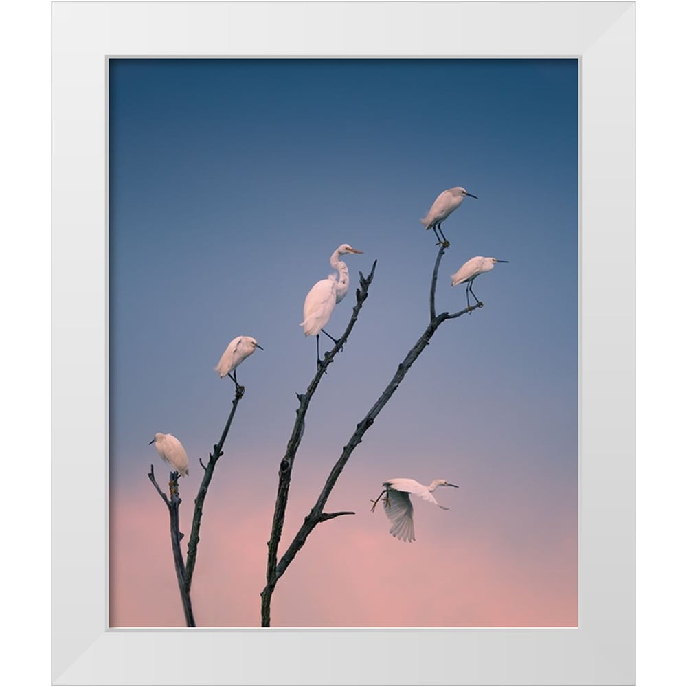 P., Ruiqing 26x31 White Modern Wood Framed Museum Art Print Titled ...