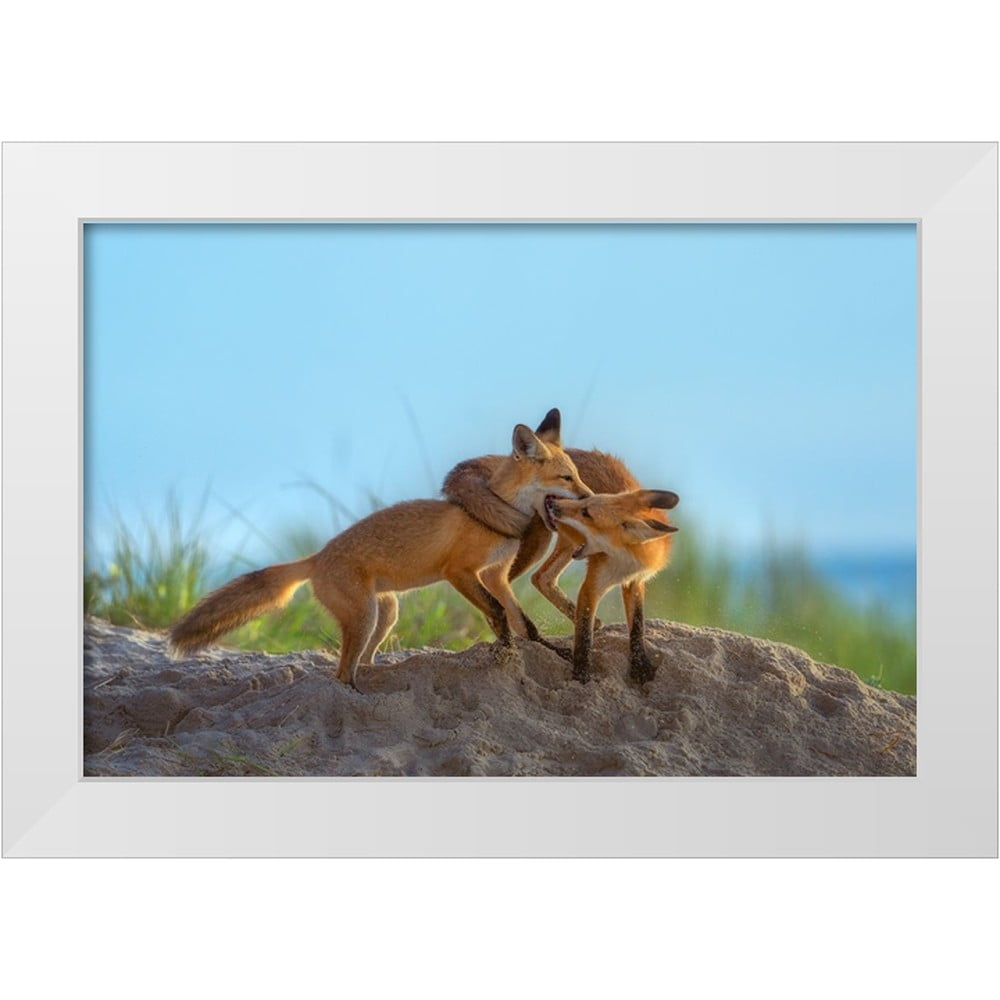 P., Ruiqing 32x23 White Modern Wood Framed Museum Art Print Titled ...
