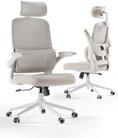 P1 Ergonomic Office Chair with 2D Lumbar Support & Adjustable Headrest ...
