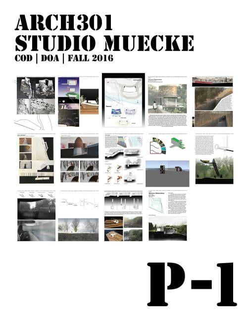 P1: Project 1, ARCH301 Studio Muecke Paperback 0984894225 9780984894222 Zach Hansen, Megan ...