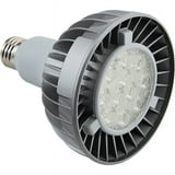 P38-L800-C30-B25 LED Light Bulb - Walmart.com