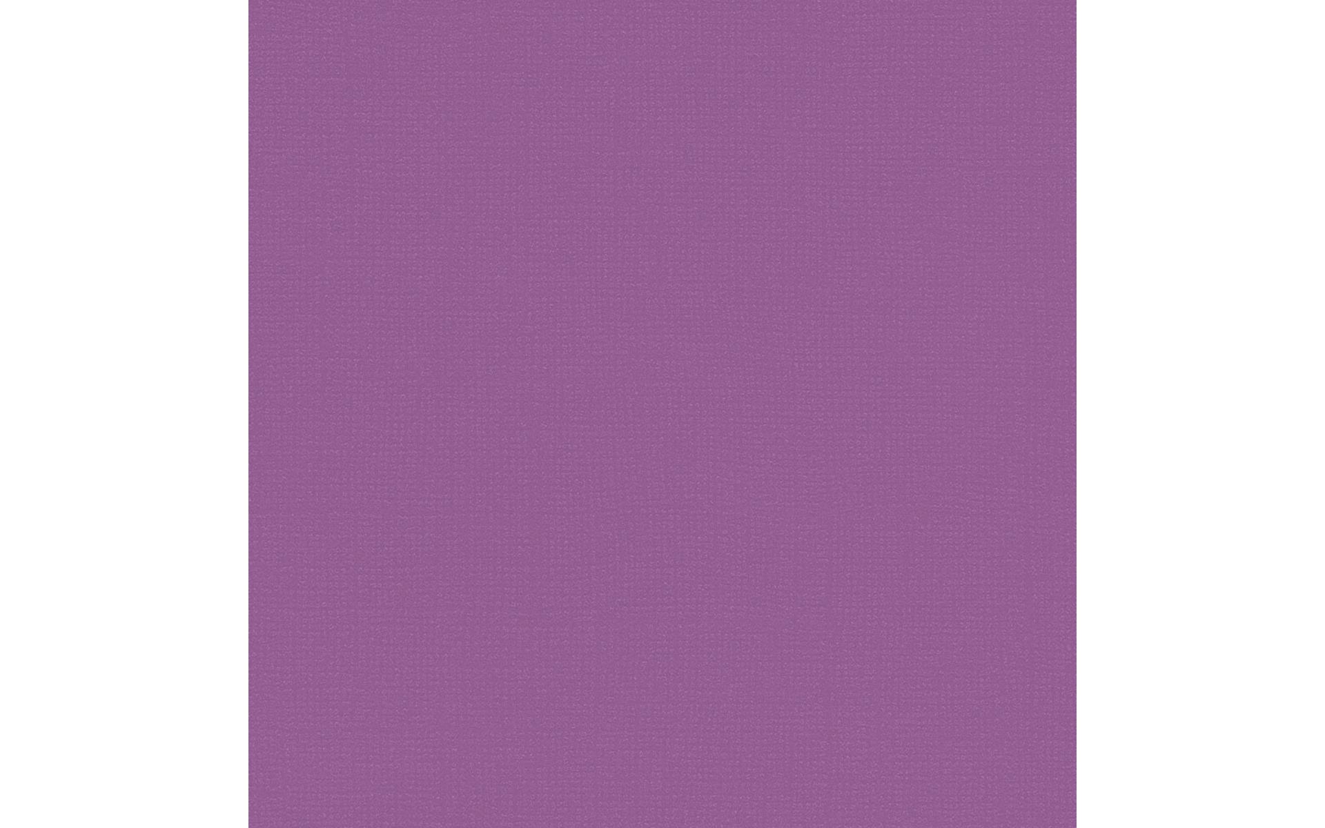 PA Paper Accents Glimmer Cardstock 12? x 12? Amethyst Jewel, 80lb ...
