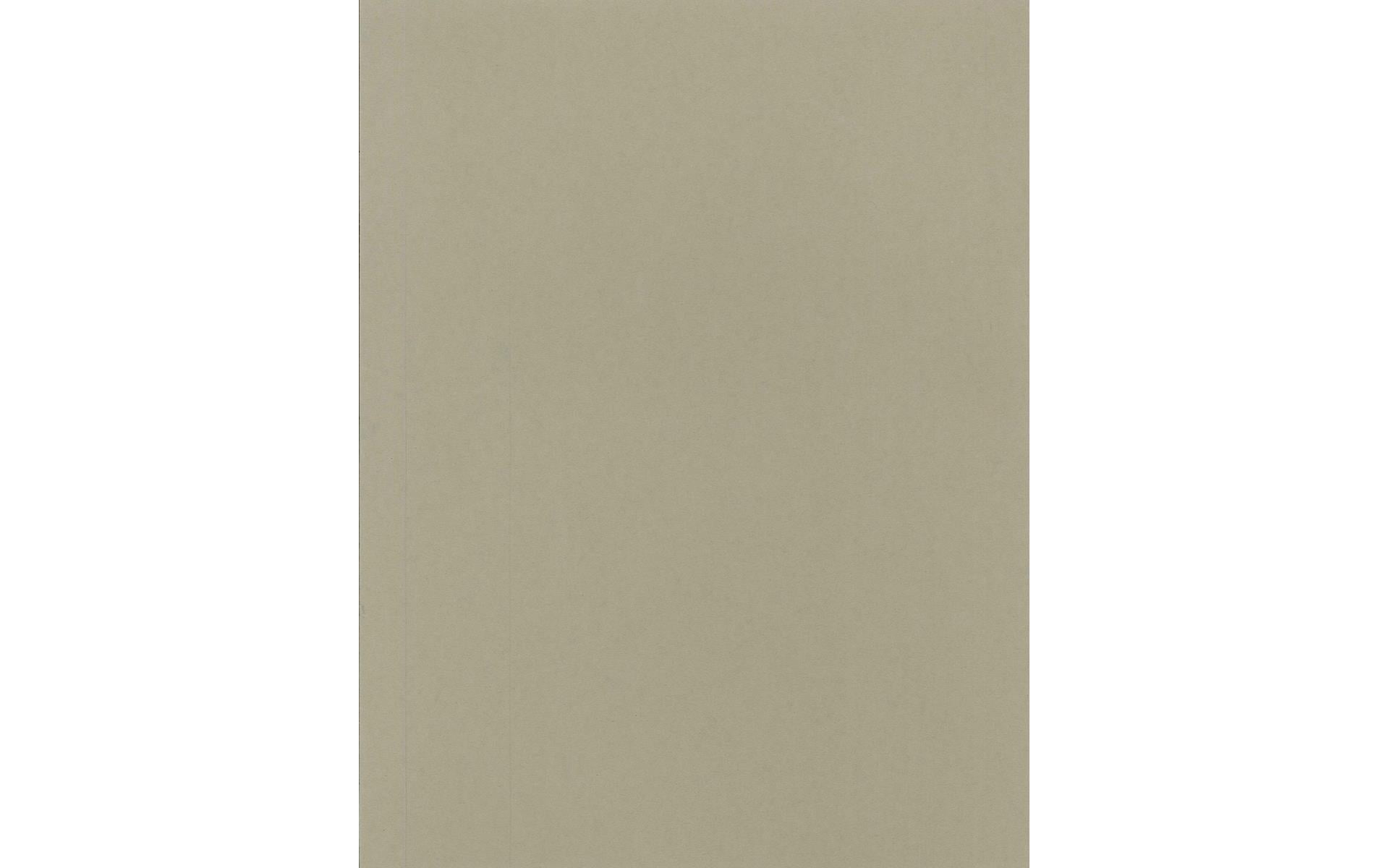 PA Paper Accents Heavyweight Smooth Cardstock 8.5" x 11" Putty, 100lb ...
