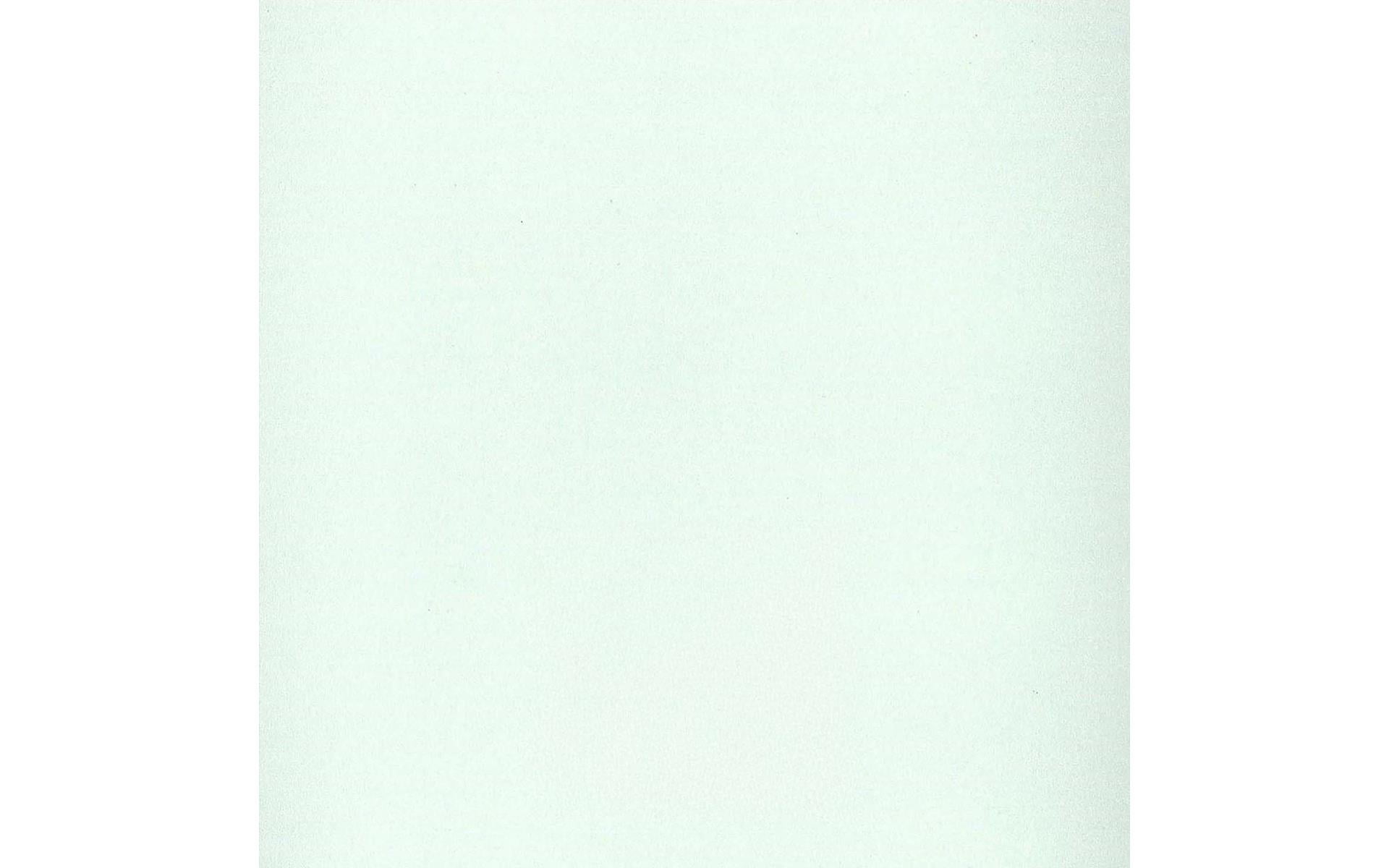 PA Paper Accents Pearlized Cardstock 12" x 12" Aloe, 80lb colored ...