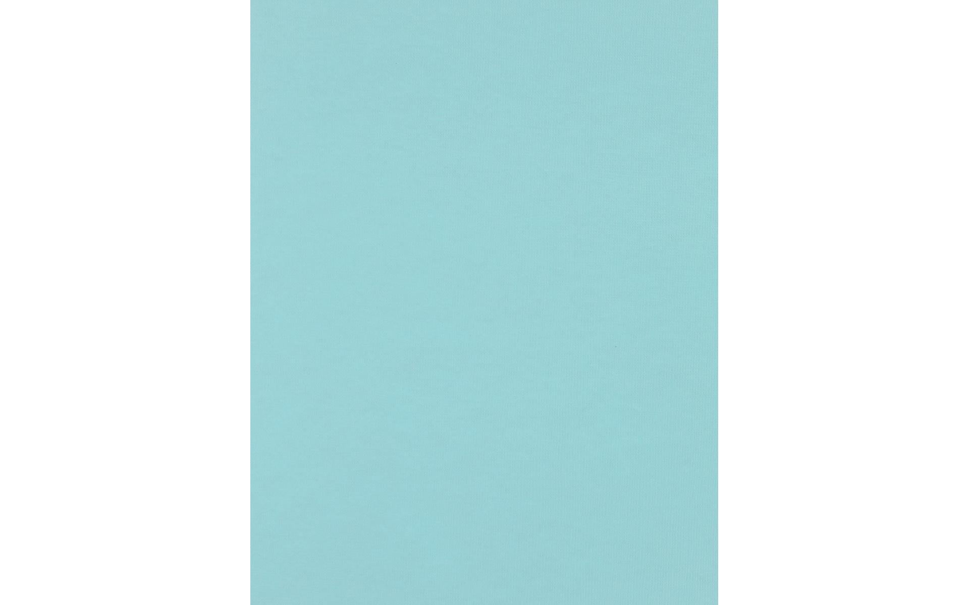 PA Paper Accents Textured Cardstock 8.5" x 11" Geyser Blue, 73lb ...