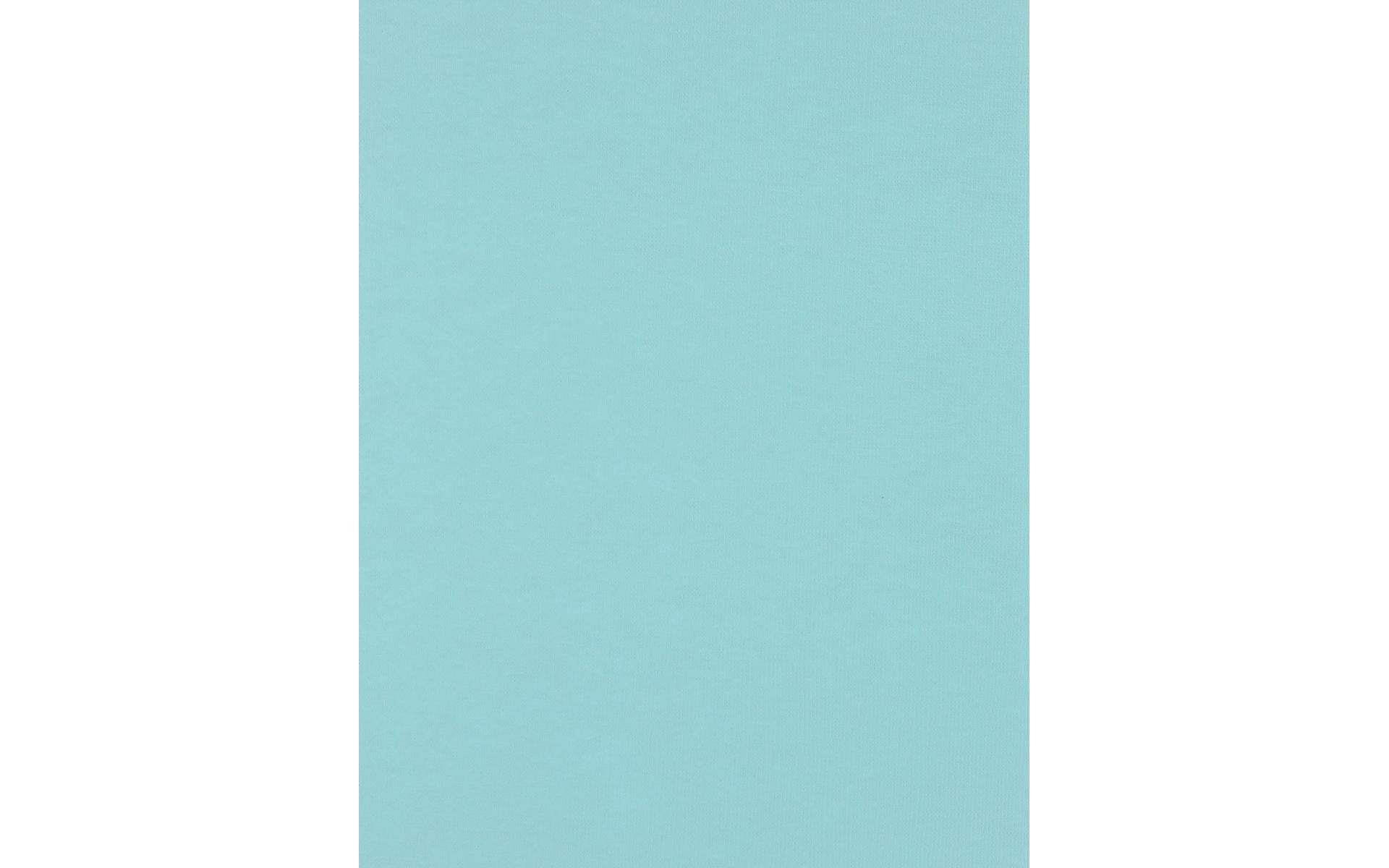 PA Paper Accents Textured Cardstock 8.5" x 11" Geyser Blue, 73lb ...