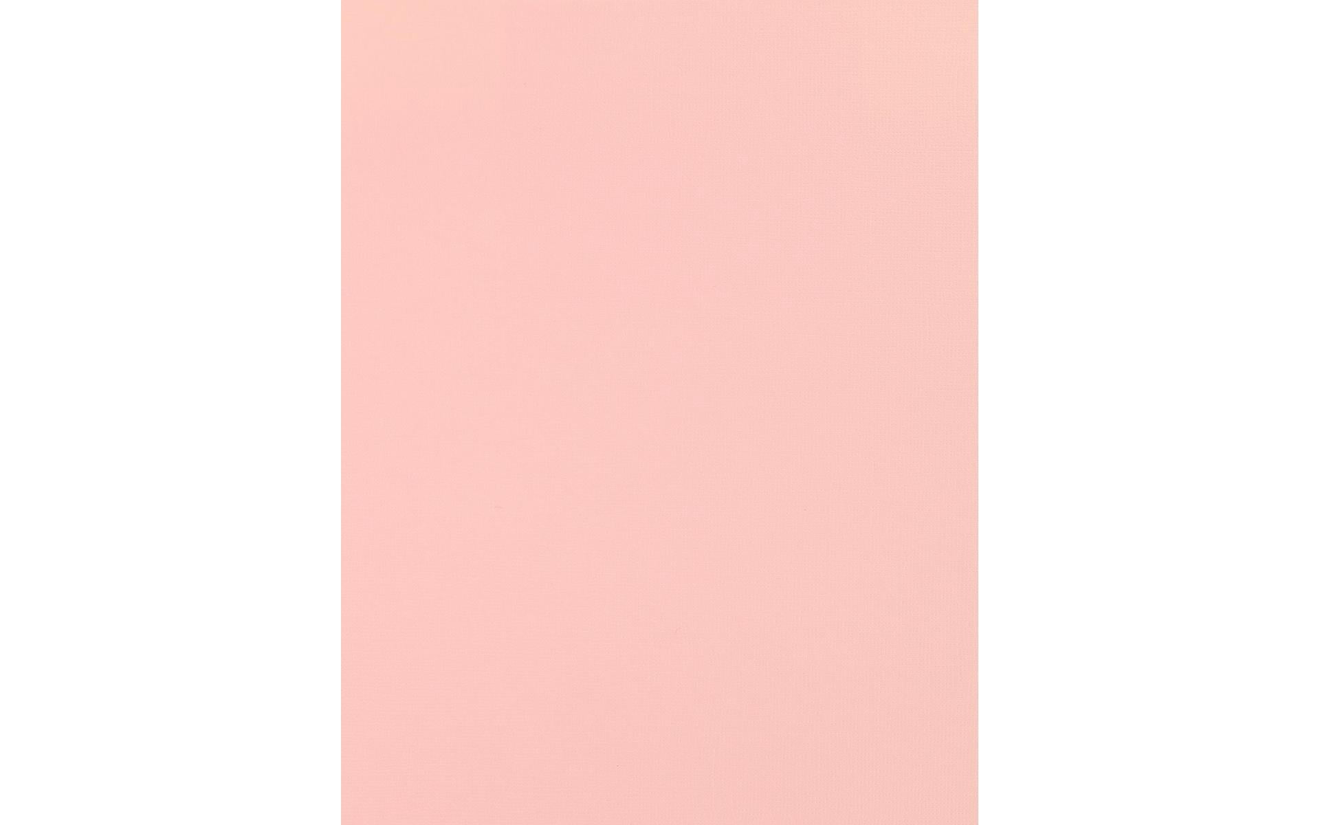 PA Paper Accents Textured Cardstock 8.5" x 11" Strawberry Cream, 73lb ...